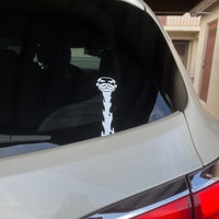 Peeking Ball Python Decal - Periscoping Snake, Serpent, Boa, Reptile ...