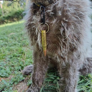 Personalized Bullet Dog Tag Pet ID Tag Custom Engraved Dog Tag ...