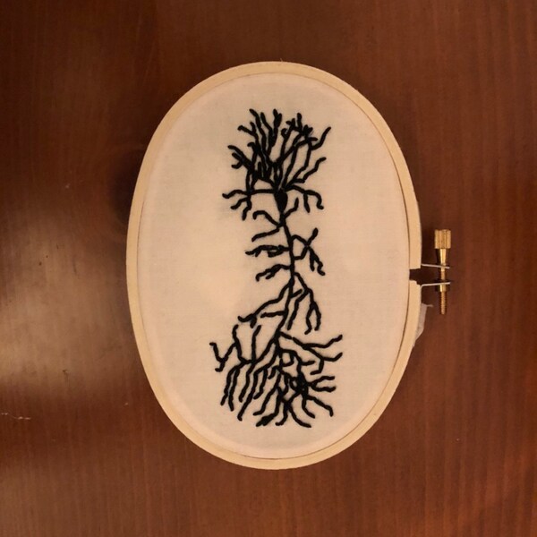 Rainbow Brain Embroidery Pattern, Brainbow, Beginner Embroidery PDF ...