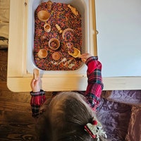 Five Little Acorns Poem - Interactive Poetry - Fall Poetry - DIGITAL ...