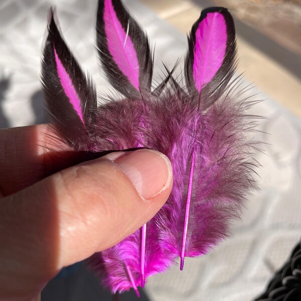 12 Long Rooster Feathers Cree Natural Craft and Earring Feathers 8 to ...