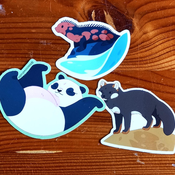 Swimming Tiger Transparent Sticker - Etsy