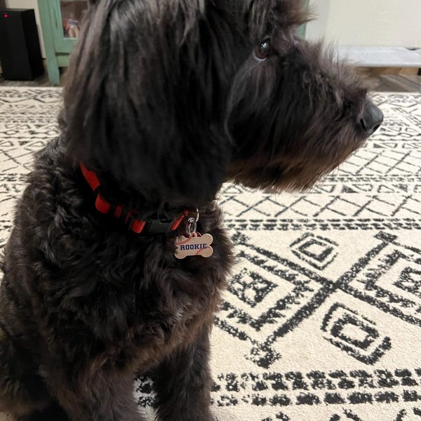 Purple Paw Print Pet ID Tag Double Sided Dog Tag Personalized Pet Tag ...