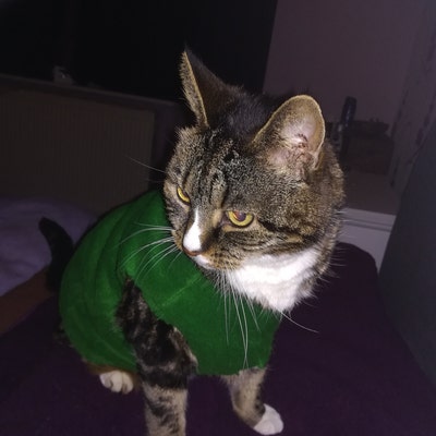 Cat Sweater Pattern Size S, Sewing Pattern, Cat Sweater Pattern, Cat ...