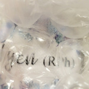 Floral Human Brain Pill Box Floral Brain Pill Case Trinket | Etsy