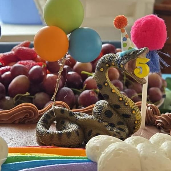 Anaconda Cake Topper, Party Animal Snake Birthday, Reptile Party Animal ...