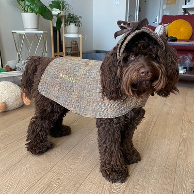 Tweed CAPELET Herringbone Detective Dog Cape With Fleece - Etsy