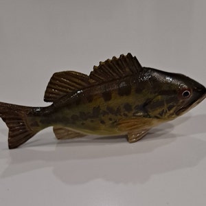 20 cm 3D wooden sculpture of fish Plotva Rutilus rutilus | Etsy