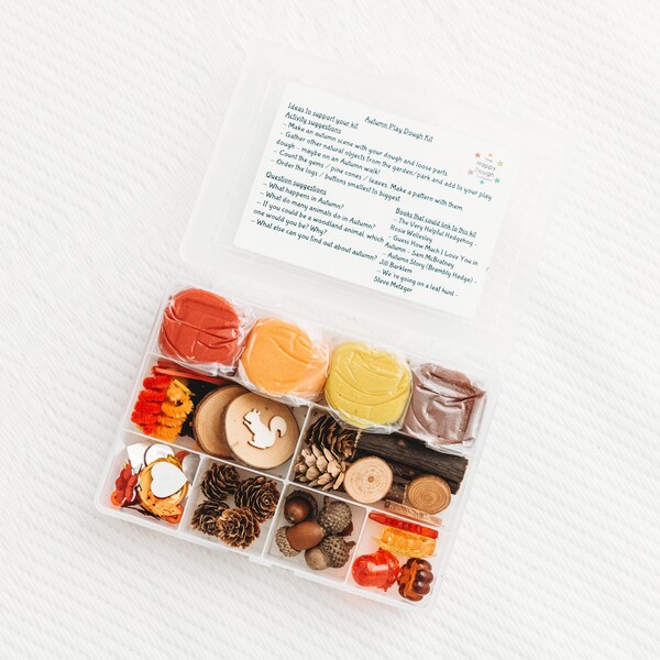 Minibeast Play Dough Kit - Etsy UK