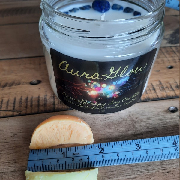 WAX Citrus Wedge Embeds, Citrus Wax Embeds, Unscented Wax Embeds for ...