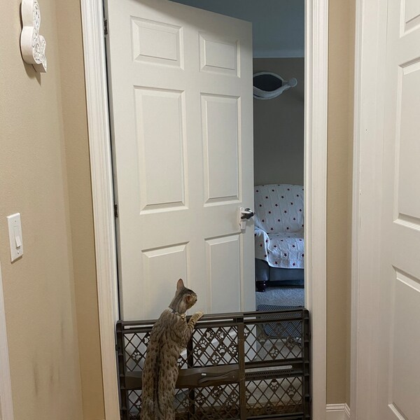 Savannah, Savannah Sign, Savannah Cat Owner, Savannah Gift, Savannah ...