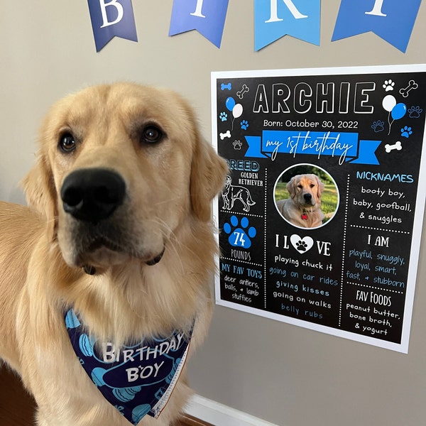 Dog Birthday Sign | Customizable Dog Birthday Sign - Blue | Puppy 1st ...