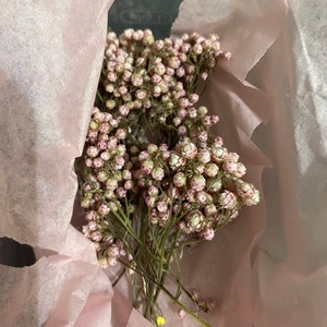 Tiny Flowers for Resin Dried Pink Gomphrena Strawflowers Dry - Etsy