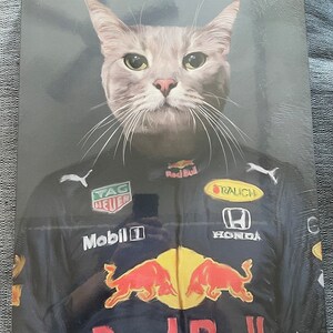 Red Ball, Formula Racing Car, F1 Driver Team Pet Portrait, Custom Dog ...