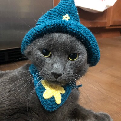 Wizard Pet Costume, Wizard Costume for Cat, Halloween Cat Hat, Wizard ...