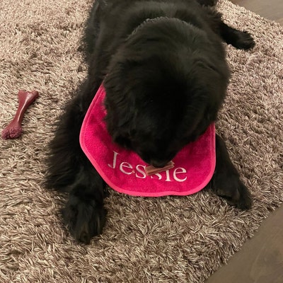 Slobber Drool .bibs Personalised With Your Pets Name Great - Etsy
