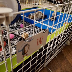 Personalized Hedgehog Name Plate / Hedgehog Sign / Cage Accessory ...