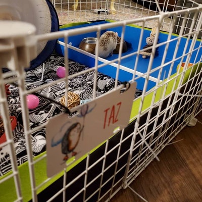 Personalized Hedgehog Name Plate / Hedgehog Sign / Cage Accessory ...