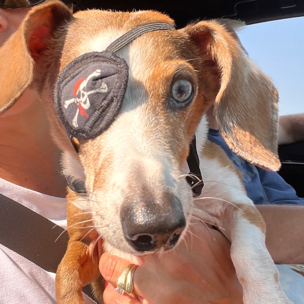 Cat Eye Patch Cotton Custom Designs Cotton Fabric NO Felt - Etsy