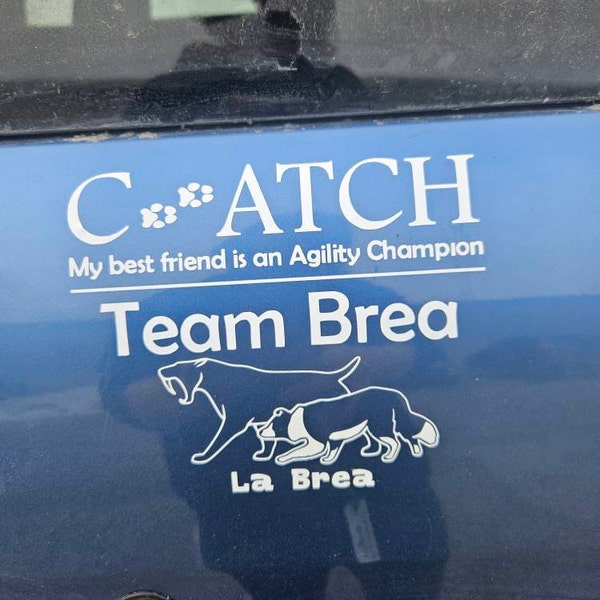 PACH Sticker - 2 Color: Dog Agility Vinyl Sticker. Customization ...