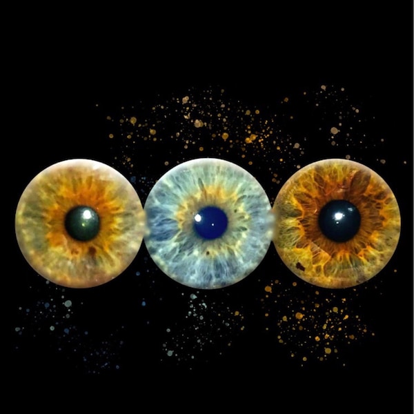 Custom Family Eye Portrait Using Pictures of Your Own Eyes! A Uniquely ...