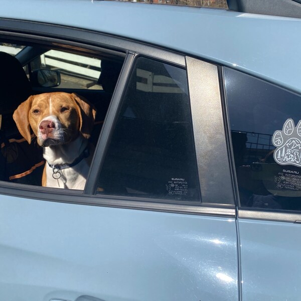 Veterinary Receptionist Week, Vet Med Journal, Veterinary CSR ...