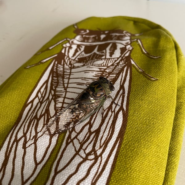 Cicada Zipper Pouch: Hand Screenprinted Cotton Canvas Pencil Bug Insect ...