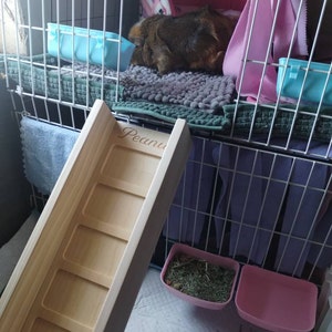 C&C Cage Wood Door, Bunny Rabbit Accessory, Rabbit Cage Accessories ...