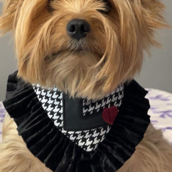 Silly Goose Dog Bandana, Embroidery, Curved Neck Snap on Handkerchiefs ...