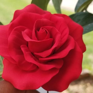 Set of 3 Beautiful Red Roses Sugar Gum Paste Red Roses Cake Topper for ...