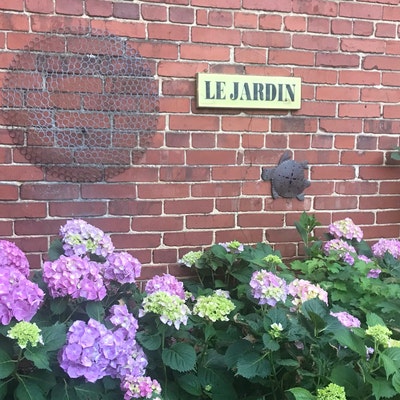 LE JARDIN Sign/hand Painted Sign/green Sign/french Garden Sign/vintage ...