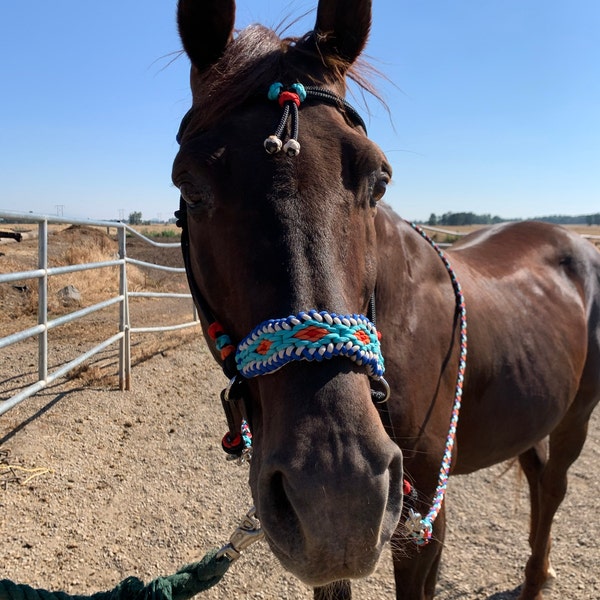 Soft Rope Halter Bitless Bridle Hackamore- Diamond Paracord Overlay ...