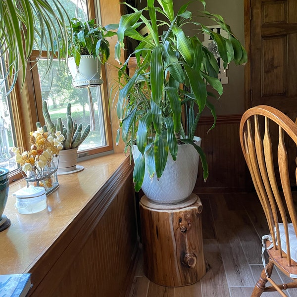 Cedar Stump Side/end Table - Etsy