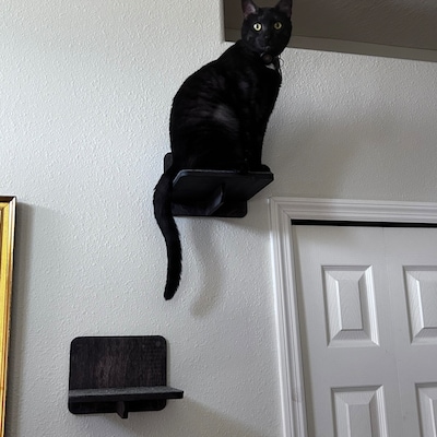 Wall Decor Cat House Modern Wall Mounted Cat Bed Cat Shelves Cat Shelf ...