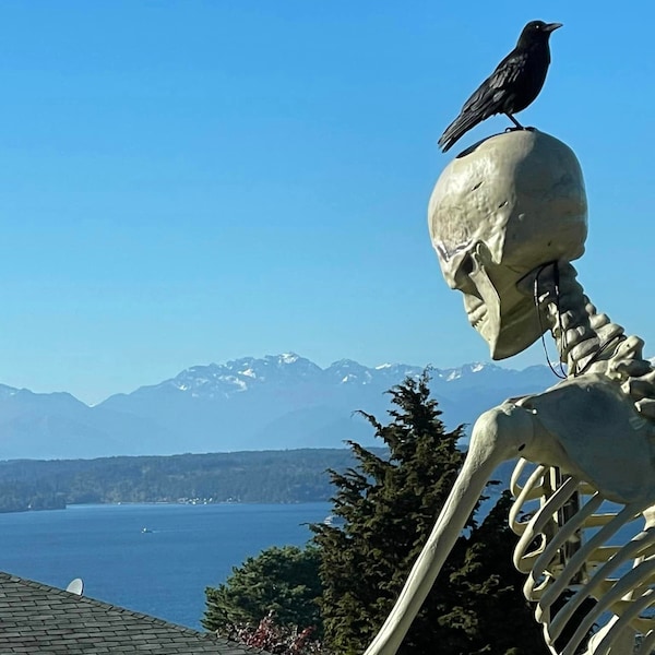 UPGRADED 12ft Skeleton Replacement Bracket for Home Depot Skelly Elbow ...