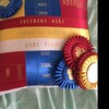 CUSTOM DIAMOND PILLOW One Sided Diamond Horse Show Ribbon Pillow Made ...