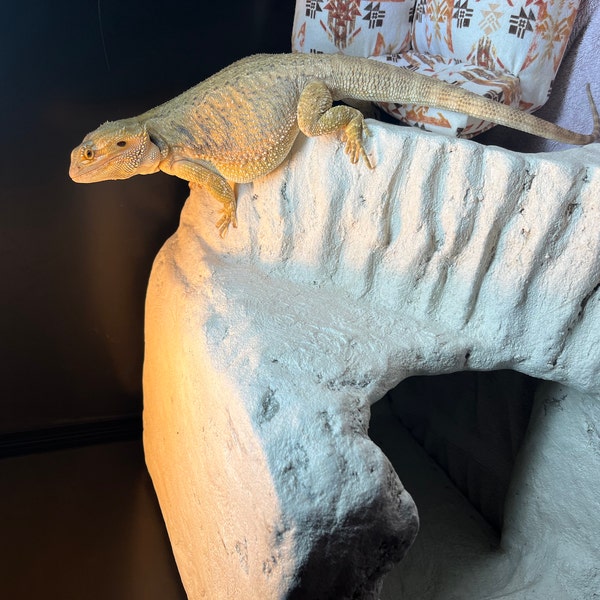 Custom Large Reptile Bearded Dragon Basking Platform, MADE TO ORDER ...