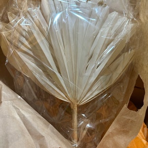 Australian Native Preserved Flower Centrepiece Dried Floral Arrangement ...