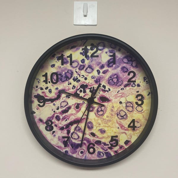 Personalized Graduation Laboratory Cap Topper, Medical Lab Science Cap ...