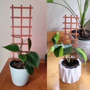 Modern Boho Rainbow Indoor Plant Trellis 2 Sizes Mini & - Etsy