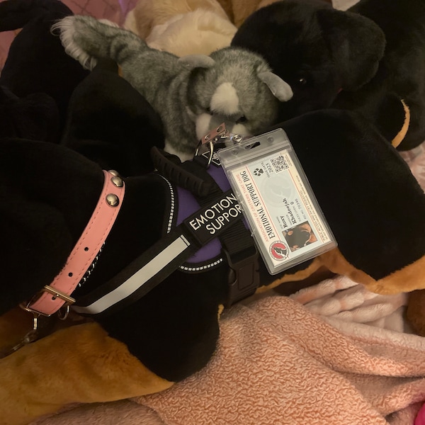 ESSA Harness With Handle Emotional Support Plush Make Your Own Stuffed ...