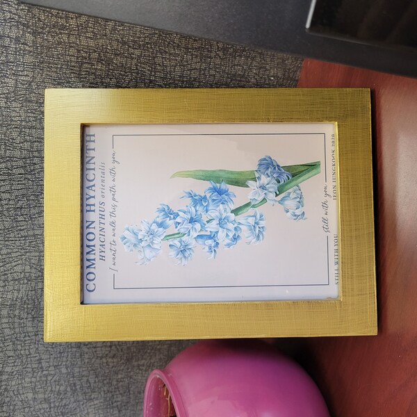 Cosmo Sticker the Rose K-pop Vinyl Sticker Dual Dawn to Dusk Tour ...