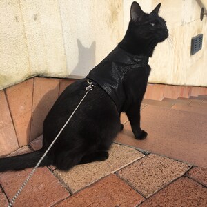 SafetyKatz Walking Jacket Zebra Face Custom Made Cat | Etsy