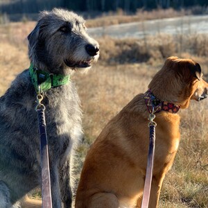 Easy Dog Tag Changer, Dog Collar Id Tag Clip With Lobster Clasp and ...