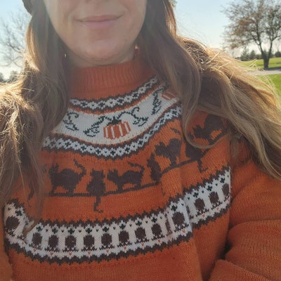 Pumpkins Cats Handmade Sweater Jumper. Acrylic Vegan Wool, Fall ...