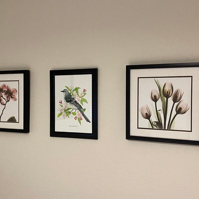 North Carolina State Bird Art Print North Carolina Cardinal and Dogwood ...