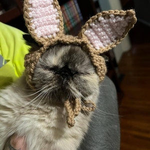 Bunny Rabbit Ear Hat for Cats - Etsy