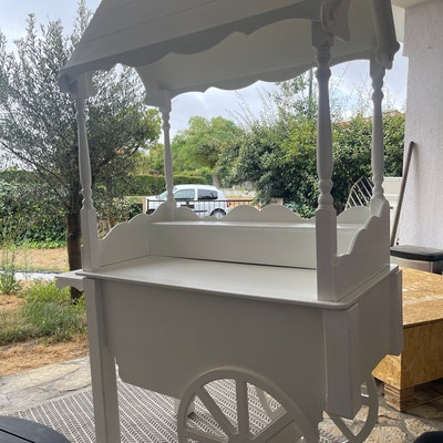 Ice Cream Cart Slush Cart Vendor Cart Display Unit Point of Sale Mobile ...