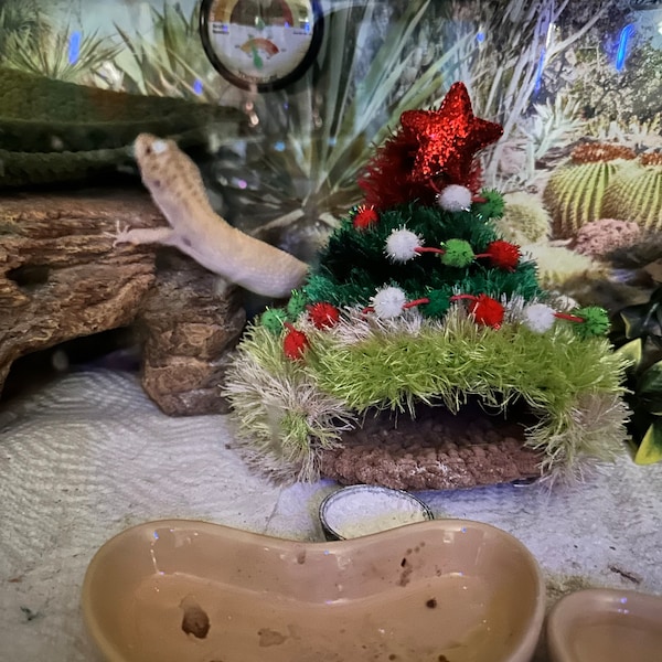 Leopard Gecko Hammock, Small Reptile Hanging Hammock Ledge, Crochet ...