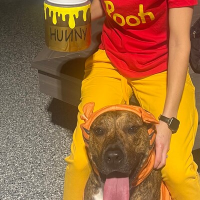 County Jail Inmate Svg, County Jail Inmate Png, County Jail Inmate Jpg ...